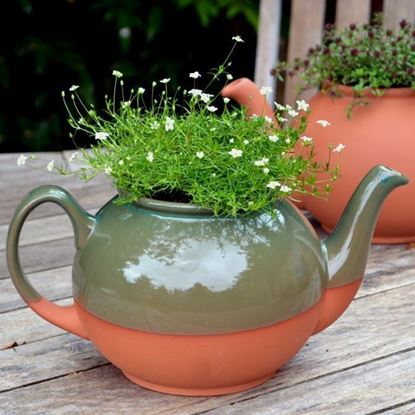 Teapot Planter | Terracotta | Various Sizes | Weston Mill Pottery UK