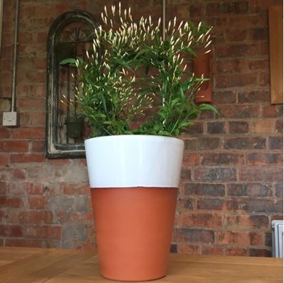 Long Tom Pots | Weston Mill Pottery UK