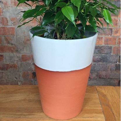 Long Tom Pots | Weston Mill Pottery UK